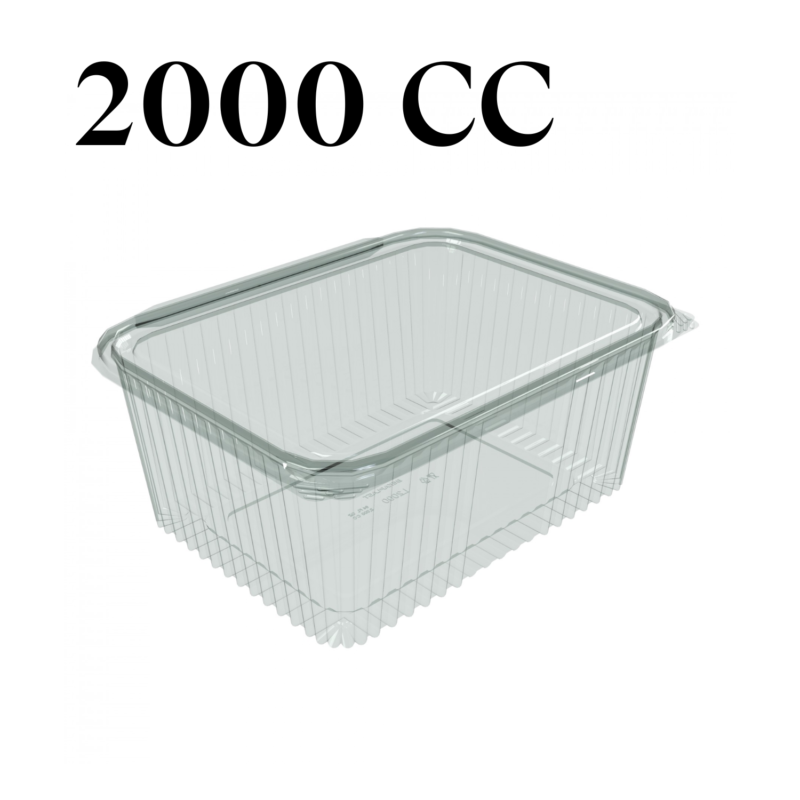 2000CC RECTANGULAR SALAD CONTAINER X 200PCS – FR Packaging